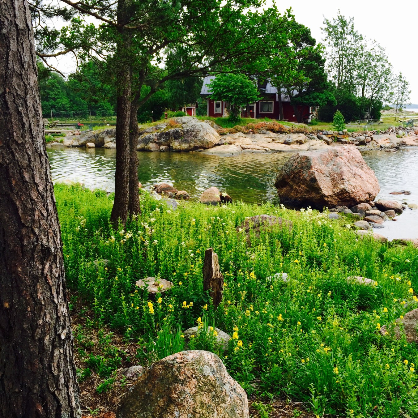Things to do in Helsinki while the sun shines… | Hey Helsinki